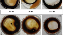 Insights into the microbial diversity and functionalities of potential ...