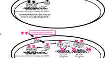Disease-Modifying Therapies in Lupus Nephritis: A Narrative Review ...