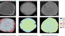 Effect of Temperature and Gas Mixtures on Cementite Formation During ...
