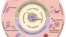 Engineering bacteria for enhanced tumor therapy: from surface ...