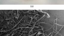 An examination of the impact of waste plastic fibers and nanomaterials ...