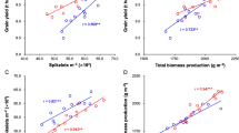 Optimizing crop rotation patterns and nitrogen management to enhance ...