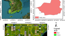 Optimizing machine learning models for wheat yield estimation using a ...