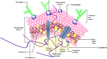 Membrane Photobioreactor Assisted Microalgae Cultivation for the ...
