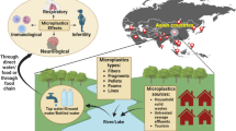 Microplastic pollution in bottled water: a systematic review ...