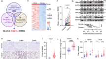 RNA-binding protein 39: a promising therapeutic target for cancer ...