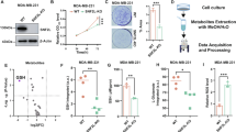 SMARCC2 mediates the regulation of DKK1 by the transcription factor ...