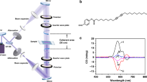 Unravel excited state chirality dynamics during symmetry-breaking ...