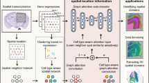 Cross-Modal Diffusion Modelling for Super-Resolved Spatial Transcriptomics | SpringerLink