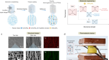 Modular assembly of self-healing flexible thermoelectric devices with ...