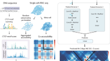 scBasset: sequence-based modeling of single-cell ATAC-seq using convolutional neural networks ...