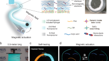 Optical fibre taper-enabled waveguide photoactuators | Nature Communications