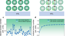 Realizing low voltage-driven bright and stable quantum dot light ...