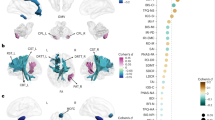 Microproteins Simba1 and Simba2 activate Wingless signaling during the ...