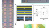 Very-large-scale integrated quantum graph photonics | Nature Photonics