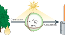 Photocatalysts for steering charge transfer and radical reactions in ...