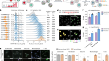 NIS-Seq enables cell-type-agnostic optical perturbation screening ...