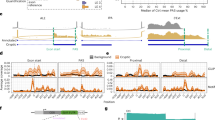 TDP-43 represses cryptic exon inclusion in the FTD–ALS gene UNC13A | Nature