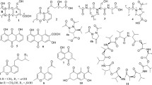 Selective cytotoxicity of epidithiodiketopiperazine DC1149B, produced ...