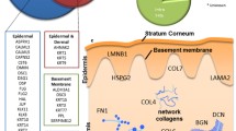 Exploration of interstitial fluid proteome in Homo sapiens forearm ...