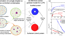 Size-controlled assembly of phase separated protein condensates with ...