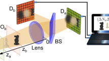Periodic patterns for resolution limit characterization of correlation plenoptic imaging | The ...
