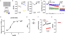 Structural insights into the mechanism of activation and inhibition of ...