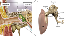 Classification of ossicular fixation based on a computational ...