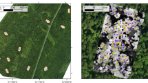Crops3D: a diverse 3D crop dataset for realistic perception and ...