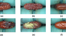 Research on surface defect detection algorithm of pipeline weld based on YOLOv7 | Scientific Reports