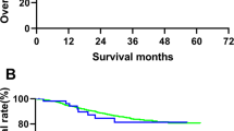 Ghost-ileostomy versus conventional loop ileostomy in patients ...