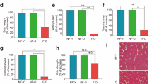 Cellular senescence and frailty: a comprehensive insight into the ...