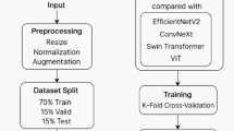 Image-based crop disease detection with federated learning | Scientific ...