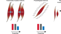 Why Opposite Movements Annihilate Each Other and Renew Themselves in ...