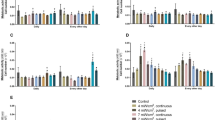Ultrasound stimulation increases cartilage synthesis and revert ...