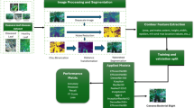 Tea leaf disease detection and identification based on YOLOv7 (YOLO-T) | Scientific Reports