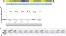 K-means quantization for a web-based open-source flow cytometry analysis platform | Scientific ...