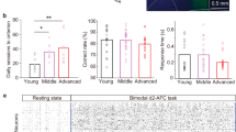 Multiplexed subspaces route neural activity across brain-wide networks | Nature Communications