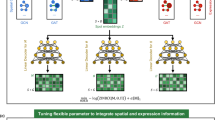Deciphering spatial domains from spatially resolved transcriptomics with an adaptive graph ...