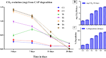 An exploration of bacterial consortia in chlorpyrifos degradation, soil remediation, and ...