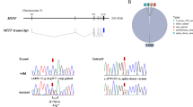 Identification of TYR gene variants associated with white coat color in ...