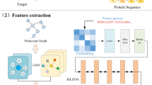 MultiKD-DTA: Enhancing Drug-Target Affinity Prediction Through Multiscale Feature Extraction ...