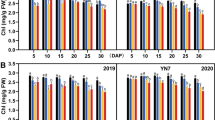 High temperature effects on maize photosynthesis during stress and ...