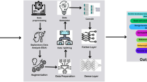 Hybrid deep CNN model for multi-class classification of skin lesion ...