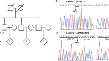 Kufor-Rakeb syndrome-associated psychosis: a novel loss-of-function ...