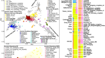 Reconstructing the genetic formation of Han Chinese from ancient ...