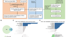 Molecular pathways and targeted therapies in colorectal liver ...