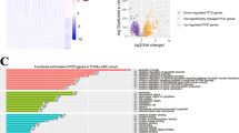 Multi‑omics identification of a novel signature for serous ovarian ...