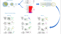 Efficacy and safety of Kangfuxin liquid for eczema: a systematic review ...