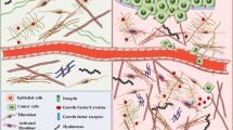 Extracellular matrix protein 1 in cancer: multifaceted roles in tumor ...